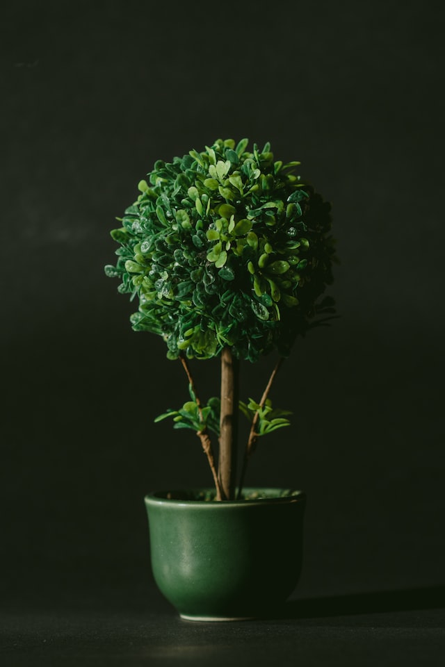 Voor uw kamerplanten! | GrowWell